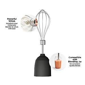 Vitamix 2-Speed Immersion Blender + Whisk, Black