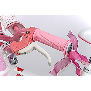 Royalbaby Princess Girl Children's Bicycle Outdoor Ride-On Bike with Training Wheels, Kickstand, Adjustable Seat and Basket, 16 Inch, Jenny/White-Pink