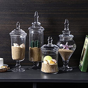 MyGift Clear Glass Apothecary Jars with Lids, Decorative Wedding Candy Serving Canisters, Set of 4