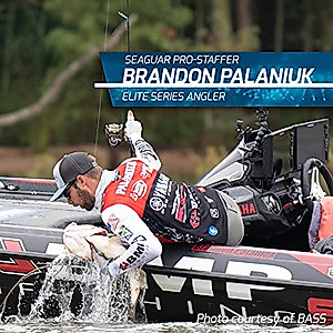 Seaguar TATSU 200-Yards Fluorocarbon Fishing Line (12-Pound)