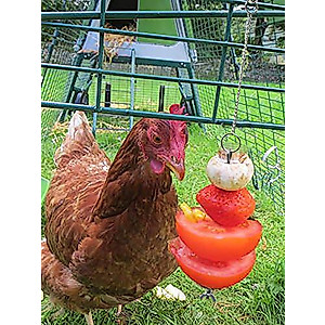 Vehomy Chicken Veggies Skewer Fruit Holder for Hens Pet Chicken Vegetable Hanging Feeder Toy for Hens Large Birds 4PCS