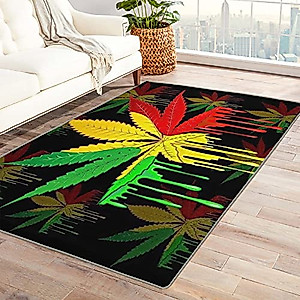 Cannabis Marijuana Small Area Rug 2x3 ft for Entryway - Weed Leaf Carpet for Boys Room Bedroom Living Room Decor, Colorful Floor Rugs for Home Decorative, Soft & Non-Slip & Washable Indoor Doormat