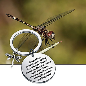 ENSIANTH Dragonfly Keychain Dragonfly Lover Gift Inspiration Gift for Friend Encouragement Gift (Dragonflies Symbolize)