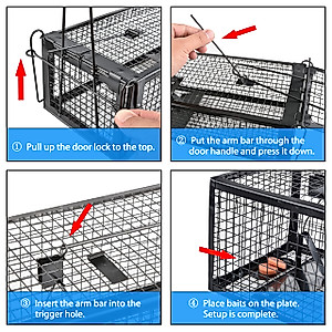 Anyhall 2-Pack Rat Traps Humane Live Mouse Vole Chipmunk Trap Cage for Indoors and Outdoors (Black)