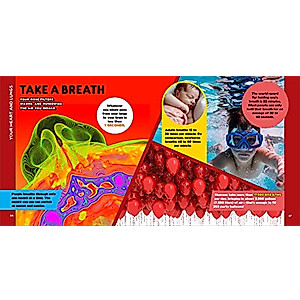 The Fascinating Human Body Book for Kids: 500 Phenomenal Facts! (Fascinating Facts)