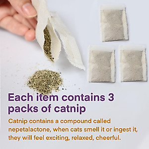 Fokauiwo Cat Chew Toys for Bored Indoor Adult Cats, Interactive Catnip Rope Toy for Teeth Cleaning, Cat Nip Teething Toys for Cats Kittens, Kitty Kicker Toy, 3 Pack (Plus 3 Pouches of Catnip)