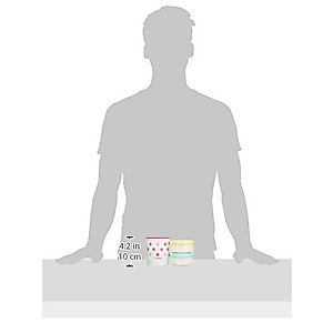 ZOJIRUSHI thermal insulation lunch box SZ-JB02-ZD (japan import)