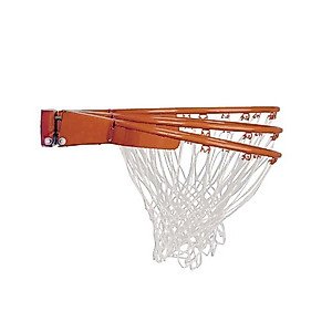 Lifetime Slam-It Pro Basketball Rim, 18 Inch