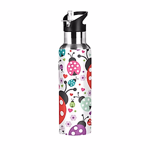 KEEPREAL Ladybug Water Bottle with Straw, 22 OZ Sports Water Bottle BPA Free Stainless Steel Water Jugs for Gym, Travel, Working, Outdoor