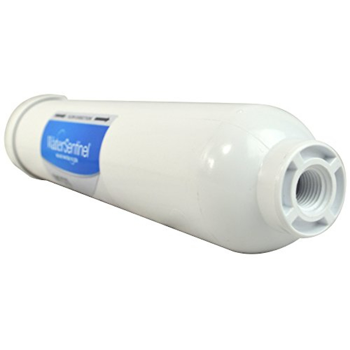 WaterSentinel WS-IN1011-1 10 Inch Inline GAC Water Filter, 1/4 INCH FNPT