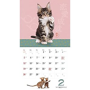 カレンダー2023 開運まねき猫 (月めくり/壁掛け) (ヤマケイカレンダー2023)