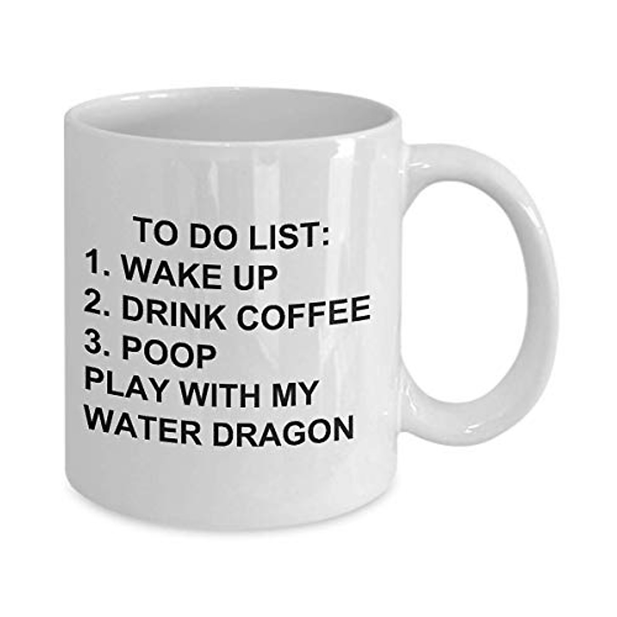 Water Dragon Mug for Animal Lovers To Do List Funny Coffee Mug Tea Cup Gag Mug for Men Women
