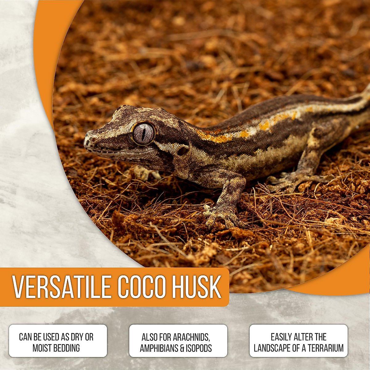 ReptiEarth Reptile Bedding, Fluffy Coconut Fiber Substrate Organic Coco for Bioactive Snake Terrarium, Lizard Tanks with Plants, for Frog Habitat, Tarantula or Hermit Crab Enclosure (72 Quart Block)