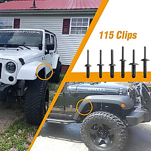 GOOACC 115 Pcs Automotive Nylon Universal Pop Rivet Assortment - 6 Most Popular Sizes & Applications for GM Ford Chrysler VW