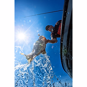 Rapala Dives-To 06 Fishing Lure (Dark Brown Crawdad)