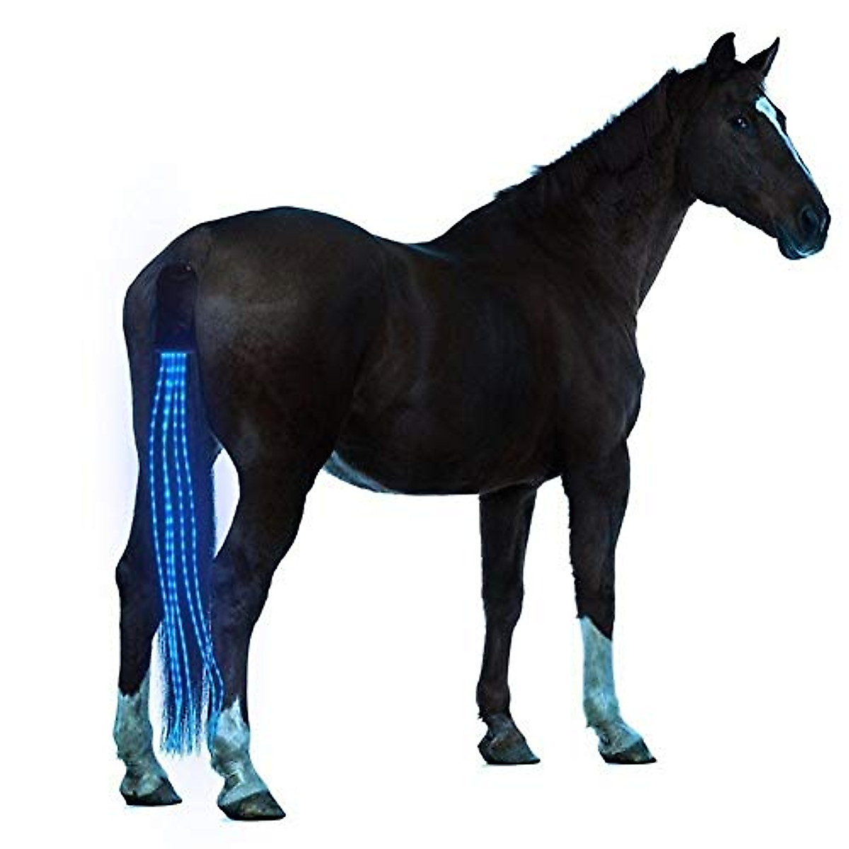 HABADOG 55cm/100cm Horse Tail USB Light Chargeable LED Crupper Horse Harness Equestrian Horse Riding Cheval Equitation (Color : 100cm Blue)