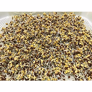 Pack of 150 pcs Germinating Growing Paper Seed Sprouter Vegetable Microgreens Planting Paper 7.8" x 11.4". Fit for Plant Germination Tray (13.4"x 9.8") Trays NOT Included