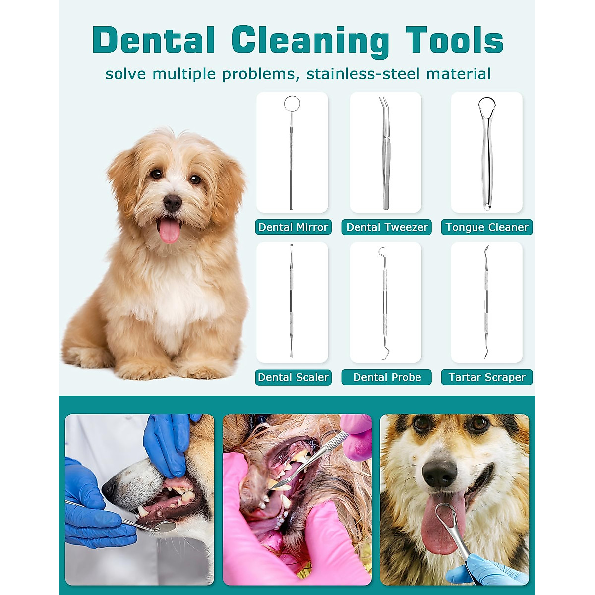Petbank Dog Teeth Cleaning Kit 12-in-1, Pet Ultrasonic Canine Plaque Remover for Teeth with LED Light, 5 Cleaning Mode, USB Charge Dog Toothbrush Tool with Dental Tools Scaler Scraper