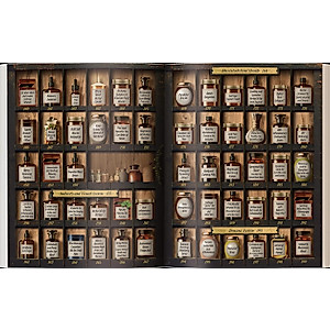 Forgotten Home Apothecary : 250 Powerful Remedies at Your Fingertips