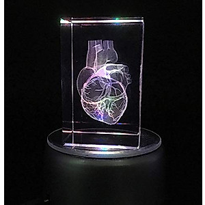 3D Human Heart Anatomical Model Paperweight(Laser Etched) in Crystal Glass Cube Science Gift (No Included LED Base)(3.1x2x2 inch)