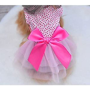 MSNFOASM 2Pack Pet Dog Tutu Skirt,Dog Tulle Spliced with Bow-Knot Dress for Small Girl Dogs Cats(Green&Pink 2XS)