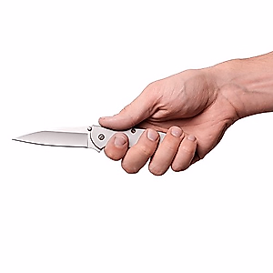 Kershaw Leek Pocket Knife, 3" 14C28N Stainless Steel Drop Point Blade, Spring Assisted Knife, Folding EDC