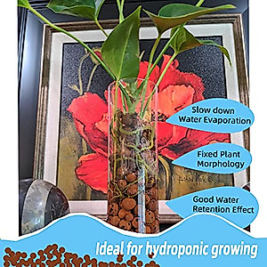 4.5LBS Leca Clay Pebbles for Plants, 8mm-12mm Expanded Clay Pebbles for Hydroponic Growing, Organic Natural Leca Clay Balls Pellets for Drainage Hydroponics Decoration Aquaponic