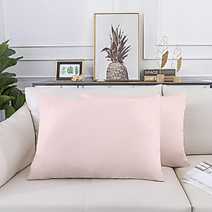 Sutuo Home Silk Pillowcase 2 Pack 100% Mulberry Silk Pillow Cases for Hair and Skin Grade 6A Both Sides 19 Momme Natural Real Silk Zipper Gift Pillow Cover for Girl's Sleep Standard 20"x26" Pale Pink