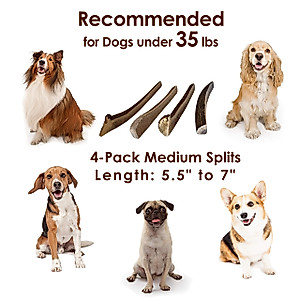 Deluxe Naturals Elk Antler Dog Chews | Long-Lasting A-Grade Premium Elk Antler Chews for Dogs from Naturally Shed Elk Antlers Collected in The USA, Split, Medium (Pack of 4)