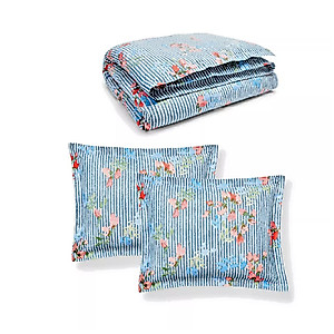 Lauren Ralph Lauren Maggie Floral Stripe Full Queen 3 pc Duvet Cover Set Shams Blue Pink White (Queen (U.S. Standard))