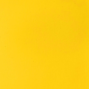 Liquitex BASICS Acrylic Paint, 250ml (8.5-oz) Tube, Cadmium Yellow Light Hue