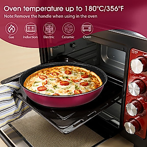 ZNM Nonstick Frying Pan Set, 10.2" & 11.6" Non Stick Frying Pans Omelette Skillet with Removable Handle, Aluminum Fry Pan Set Induction, Oven & Dishwasher Safe, Black