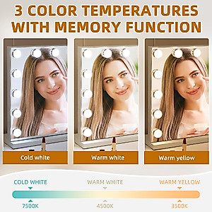 FENCHILIN Vanity Mirror with Lights Hollywood Lighted Makeup Mirror with 14 Dimmable LED Bulbs with 3 Colors Modes for Dressing Room & Bedroom(White)