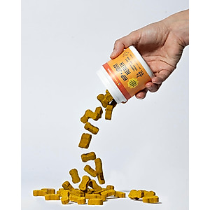 Kangaroo Dogs Hip + Joint Health Turmeric Soft Chews - Dog Supplement Made with Organic Turmeric - Supports Mobility, Immune System, Heart Health, May Reduce Joint Pain & Inflammation - 35 Treats