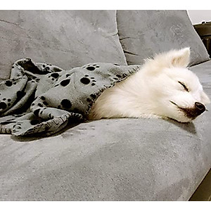 Comsmart Warm Paw Print Blanket/Bed Cover for Dogs and Cats, 6 Pack of 24x28 Inches