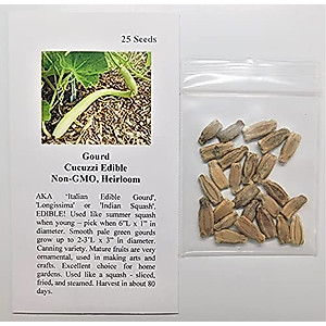 David's Garden Seeds Gourd Cucuzzi Edible 8874 (Green) 25 Non-GMO, Heirloom Seeds
