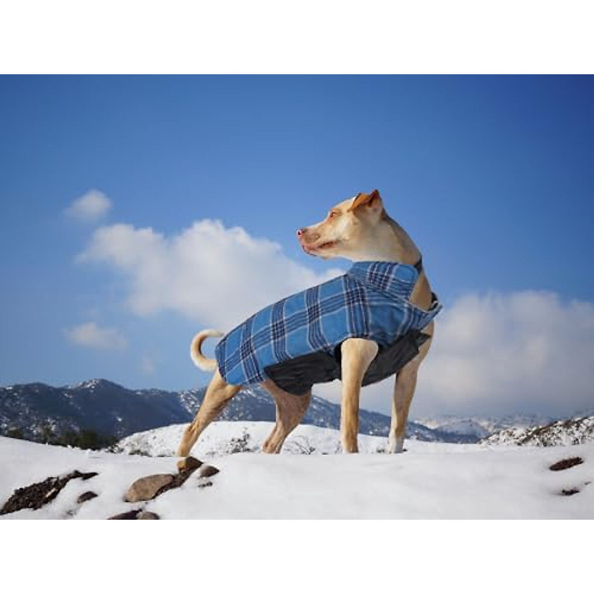 Caslfuca Dog Winter Coat, Winter Dog Extra Warm Coats Dog Fleece Jackets Dog Clothes, Windproof Waterproof Dog Cold Weather Coats for Small Medium Large Dogs and Puppy Apparel