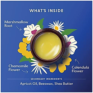 Motherlove Everyday Baby Balm (2oz) Plant-Based, All-Natural Baby Essential for Newborns, Infants, & Toddlers—Moisturizing Herbal Salve w/Calming Chamomile—Non-GMO, Organic Herbs, Cruelty-Free