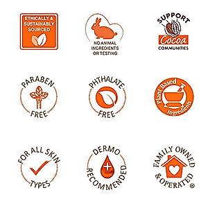 Palmer's Cocoa Butter Formula Daily Skin Therapy Body Lotion with Vitamin E, 13.5 Fl Oz (Pack of 12)