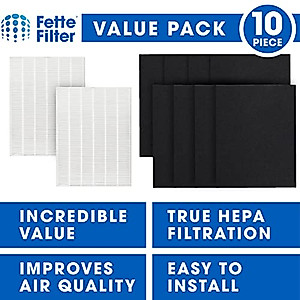 Fette Filter - 115115 Premium True HEPA H13 Filter Compatible with Winix Filter A 115115 Size 21 Plasma Wave Air Purifier AM90 P300 5300 5500 5300-2 6300-2 6300 C909 9800 C535 2 + 8 Pack