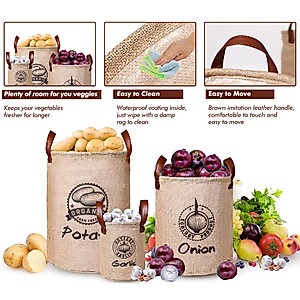Kamehame Potato and Onion Storage Baskets Pack of 3, Lined Burlap Pantry Storage Bins for Potato Onion Garlic with Handles