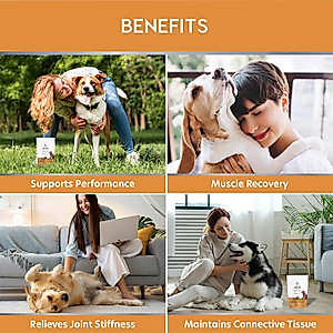 Aspen Green USDA Certified Organic Hemp Hip and Joint Chews for Dogs (Mobility) - Soft Dog Joint Supplement - (10mg Organic Hemp per 4g Chew - 60 Hemp Treats for Dogs per Bag) - Peanut Butter Flavor