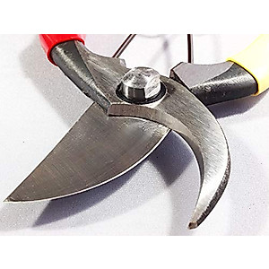 Tobisho Pruning Shears SR-1 200mm Bonsai