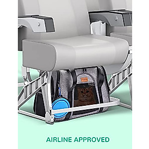 Cat Carrier, Pet Carrier Airline Approved, Dog Carrier Bag for Small Dogs and Cats, Foldable Pet Travel Carrier with Shoulder Strap, Soft Removable Mat and Pet Bowl