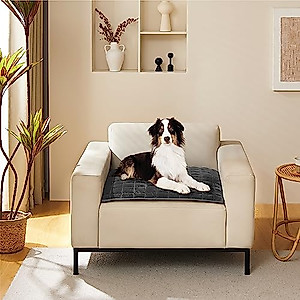 Allisandro Waterproof Dog Blanket,Thick and Non Slip Dog Bed Sofa Cover Pet Mat for Couch Sofa Bed Furniture & Small, Medium, Large Dogs, Grey, 30 x 20 Inches
