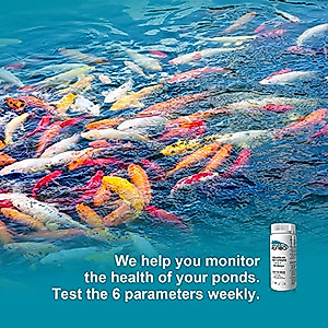 RUNBO Aquarium Test Strips 6 in1 for Fresh/Salt Water Fish Tank Aquarium, 100 Count Easy and Accurate Test Nitrate, Nitrite, General Hardness, Free Chlorine, Carbonate, Ph