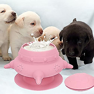 Puppy Automatic Feeder 240ml Dog Bowl Feeder Puppy Feeder Station, Weaning Dish Puppy's Feeding for Feeding Kittens, Puppies and Rabbits