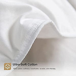 DWR Premium Feather Down Comforter Duvet Insert - 100% Skin-Friendly Cotton, Medium Weight Quilted for All Season Bedding (Full/Queen, Ivory White)