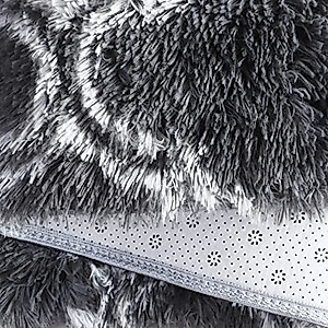 5x8 Feet Grey Soft Area Rugs for Bedroom Living Room Shag Area Rug Modern Indoor Plush Fluffy Carpets, Soft and Comfy Carpet, Girls Kids Nursery Rug