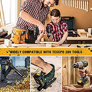 TECCPO 20V MAX 2.0 Ah Lithium Ion Battery Pack, Rechargeable Replacement Battery, for All 20V TECCPO & POPOMAN Cordless Power Tools